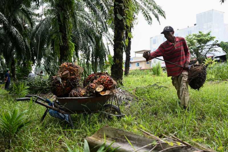 Isu Kemasukan Pekerja Asing: Ini Yang Majikan Harapkan… Isu Kemasukan Pekerja Asing: Ini Yang Majikan Harapkan…