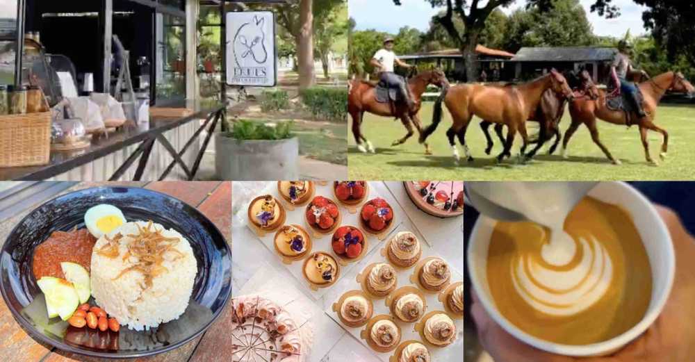 The New ‘Ekues Cabin Cafe’ With Eques-Open Space Ambiance Concept