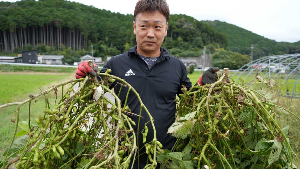Let it grow: Panasonic's plant formula boosts CO2 absorption