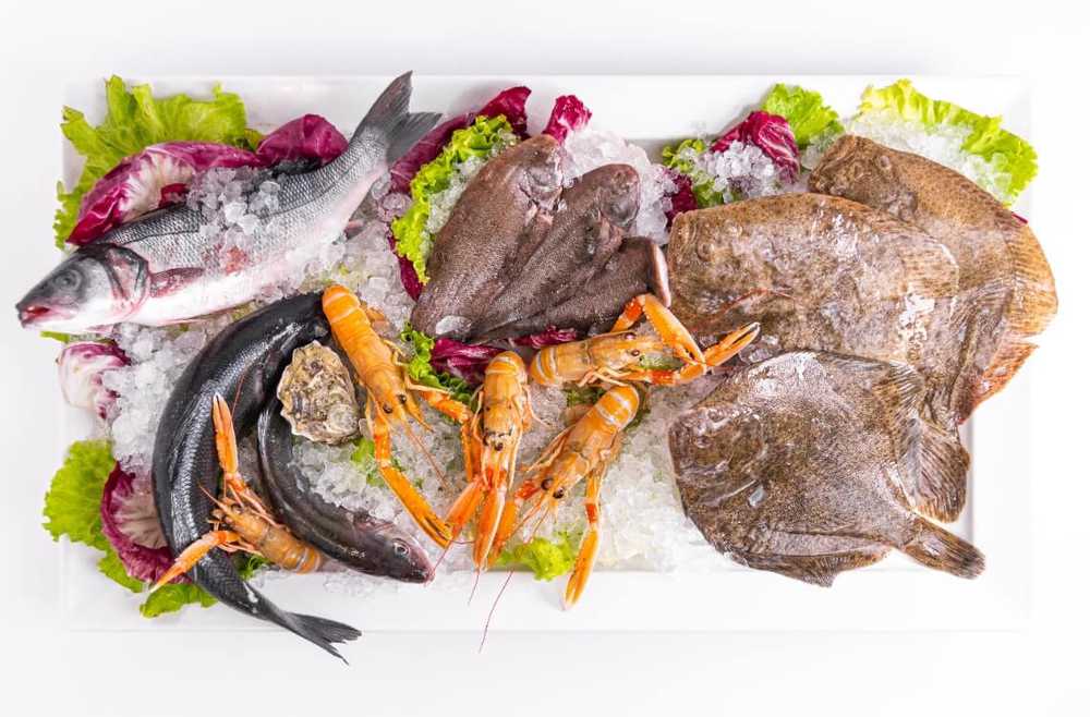 Fish Names in English to Buy Fish Easier