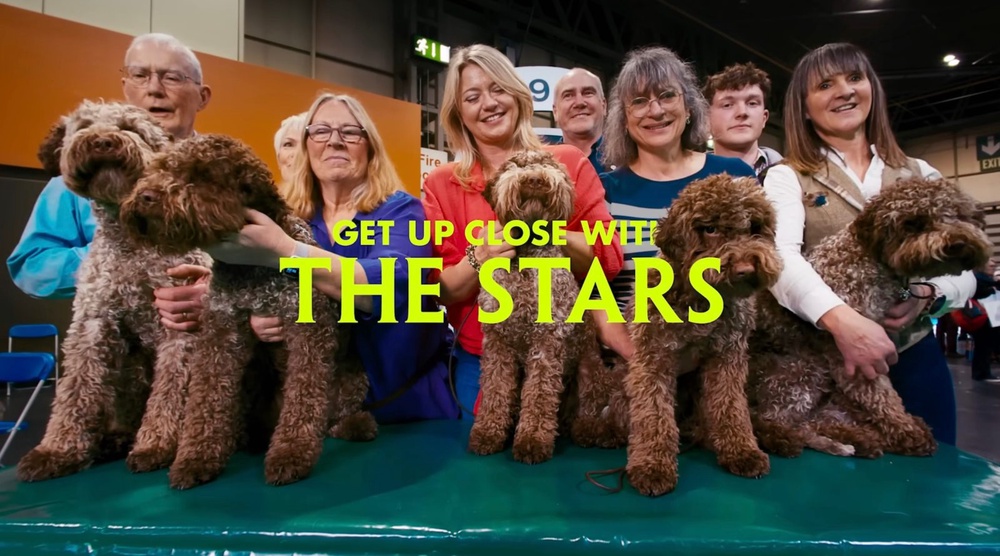 Apple shares trailer for new Top Dogs immersive ‘doguseries’ coming to ...