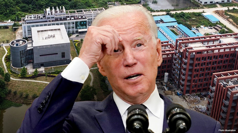 US govt sent $1.3 billion to China, Russia for gender equality, cat ...