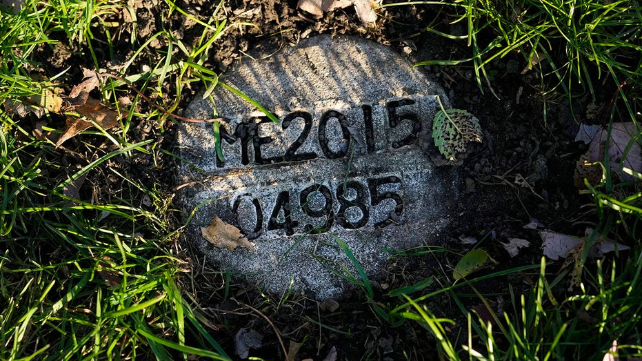 Chicago cold case cracked, revealing identity of Army veteran missing ...