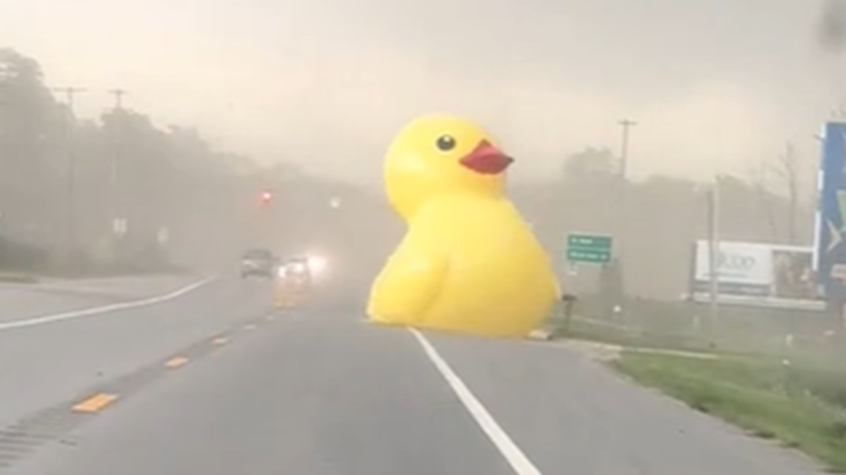 Giant inflatable duck blows across Michigan road during high winds