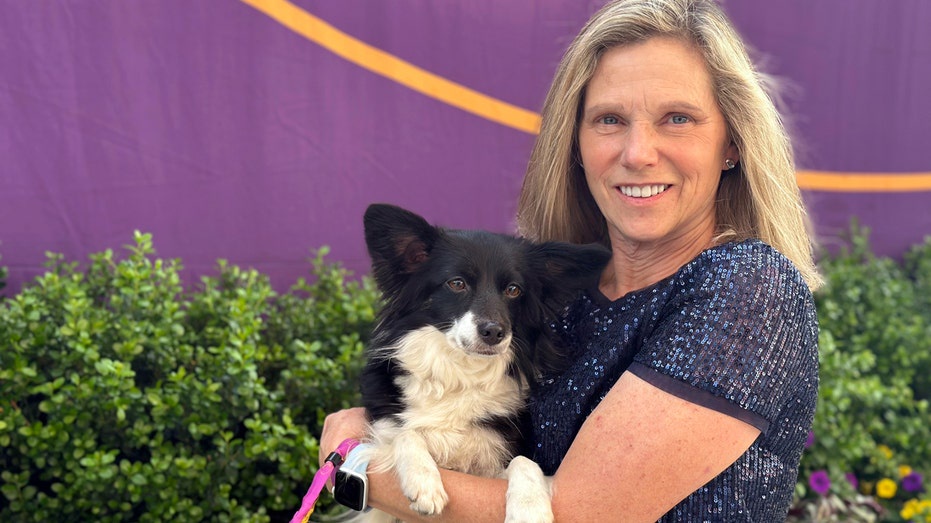 A 'border pap' becomes first mixed-breed dog to win Westminster dog ...