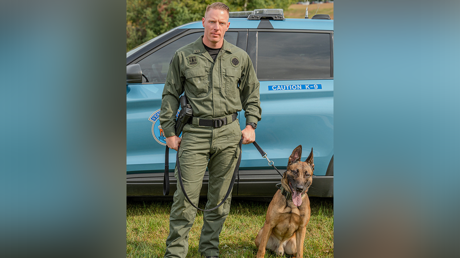 'Profound reminder' of courage: Maine police K-9 shot, killed in the ...