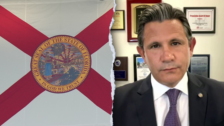 Florida state senator who quit Democratic Party slams it as 'rudderless ...