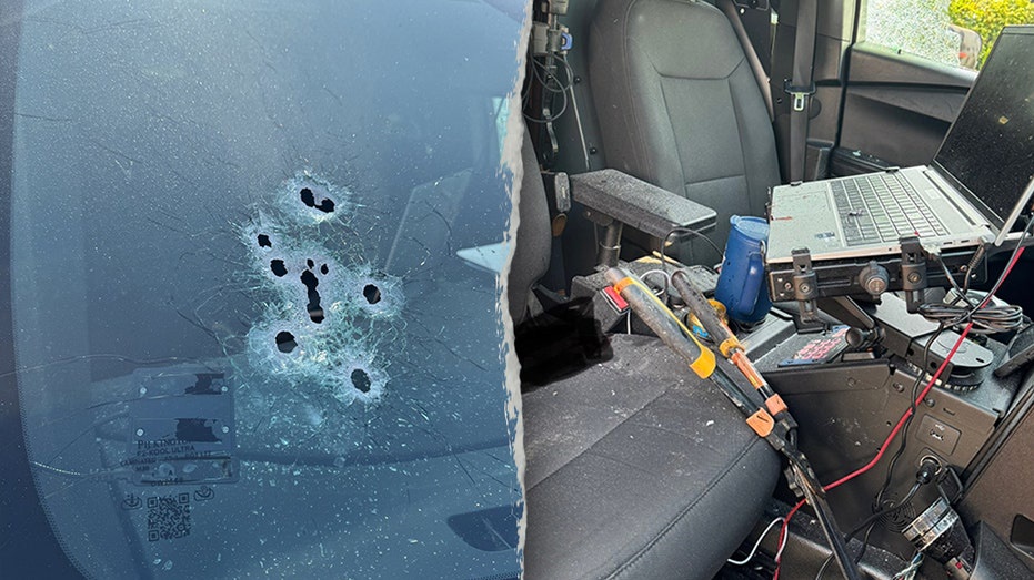 Florida man shot by deputies after alligator attack, charging officers ...