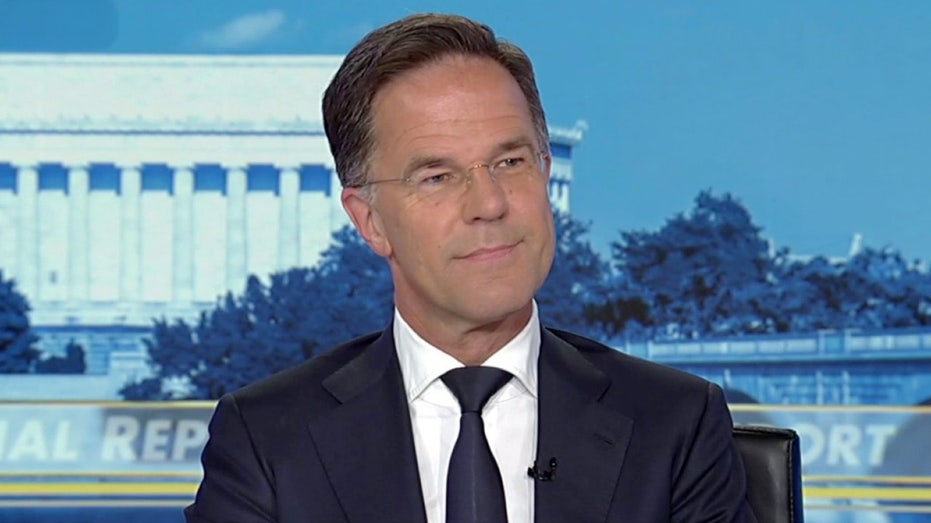 NATO chief praises Trump's weapons sales to allies as 'significant ...