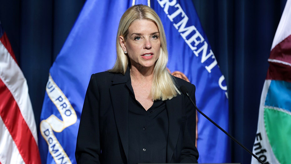 Anti-ICE protester William Kelly dares Pam Bondi to arrest him after ...