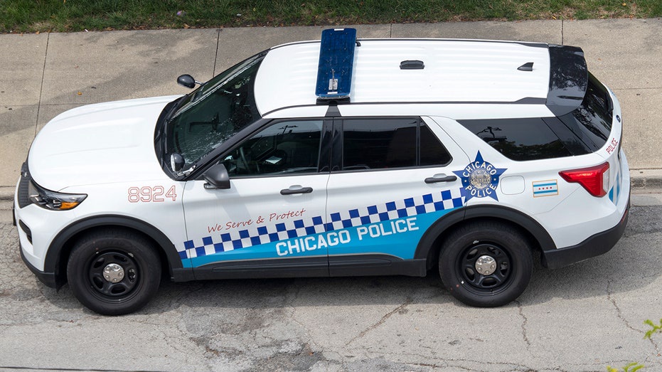 Drowned 63-year-old Illinois man's death deemed a homicide: Cook County ...