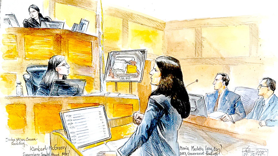 Trump assassination attempt suspect Ryan Routh to defend himself as ...