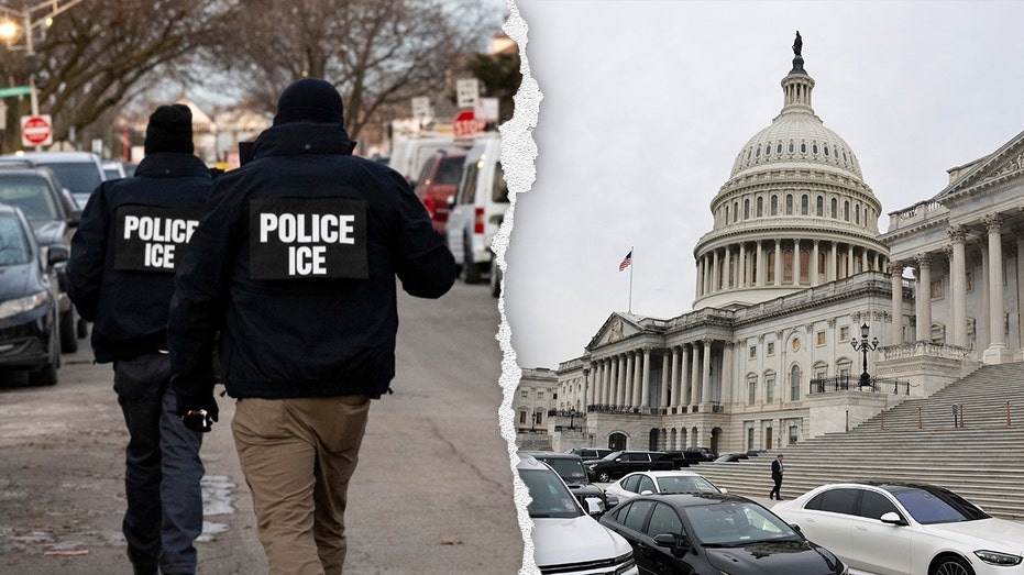 ICE vows 'no change' to immigration, border policy amid government shutdown