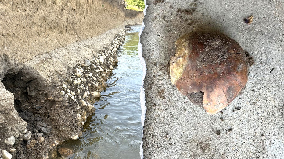 Hobbyist finds 4,270-year-old human skull on Indiana riverbank ...