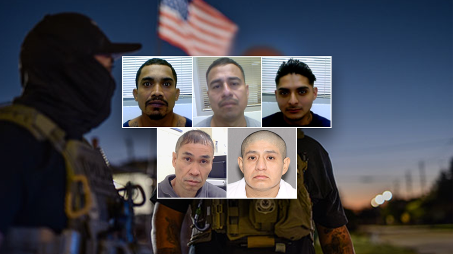 ICE operation prevents ‘nightmares and PTSD’ in massive Texas operation