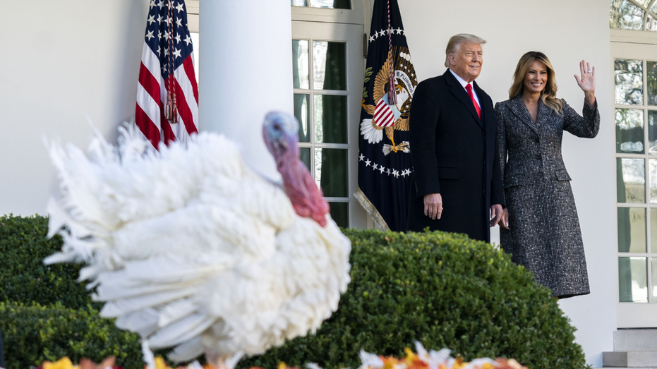 Shifting Thanksgiving traditions reflect broader political, economic ...
