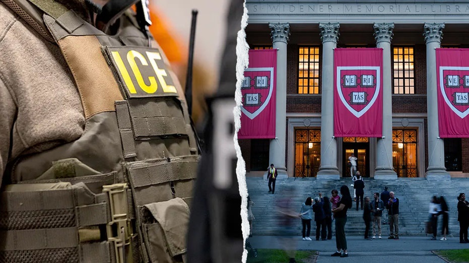 Harvard professor detained by ICE after Boston synagogue shooting ...