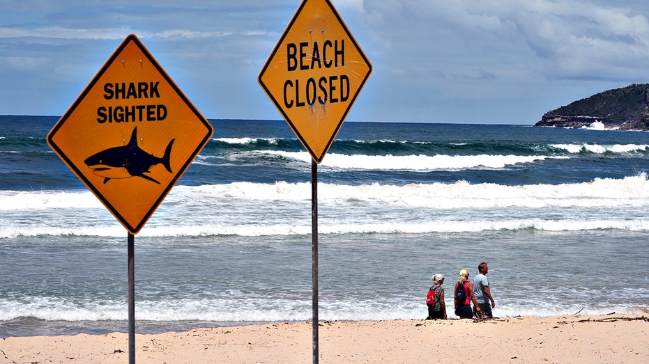 Fourth shark attack in three days rocks Australia as authorities close ...