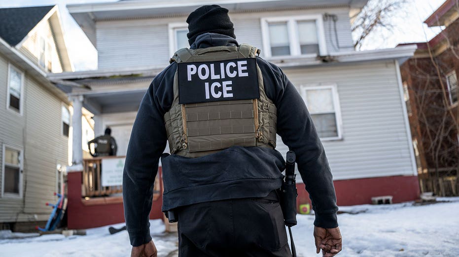 Former ICE agent calls police non-cooperation 'formula for disaster ...