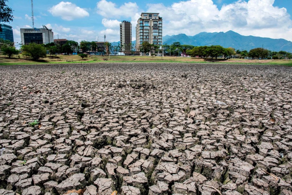 El Niño Has Begun. What to Know About the Weather Phenomenon