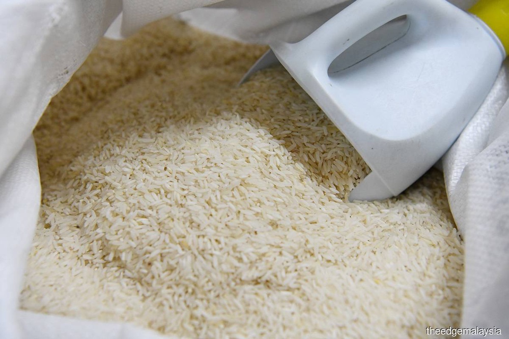 Ceiling price increase for local white rice expected to be finalised before October 2024 — minister