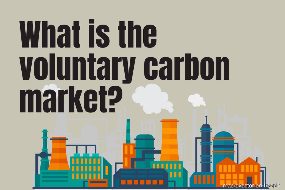 What is the voluntary carbon market? What is the voluntary carbon market?