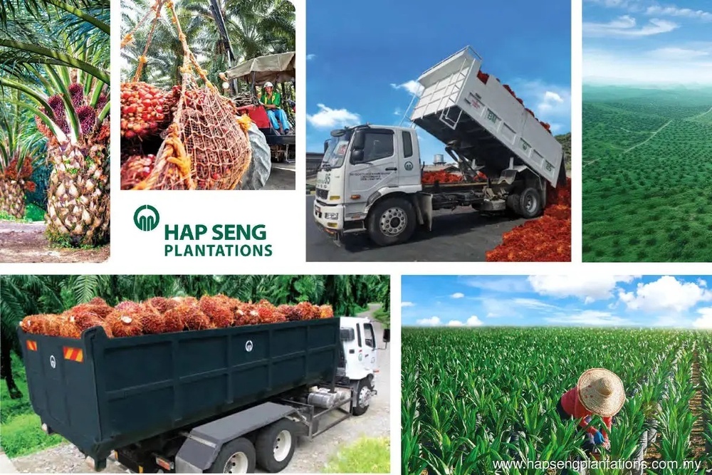 Hap Seng Plantations' 3Q net profit down 5.5% on lower sales volume