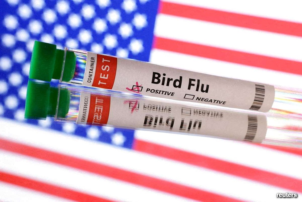 Bird flu virus shows mutations in first severe human case in US, CDC says Bird flu virus shows mutations in first severe human case in US, CDC says