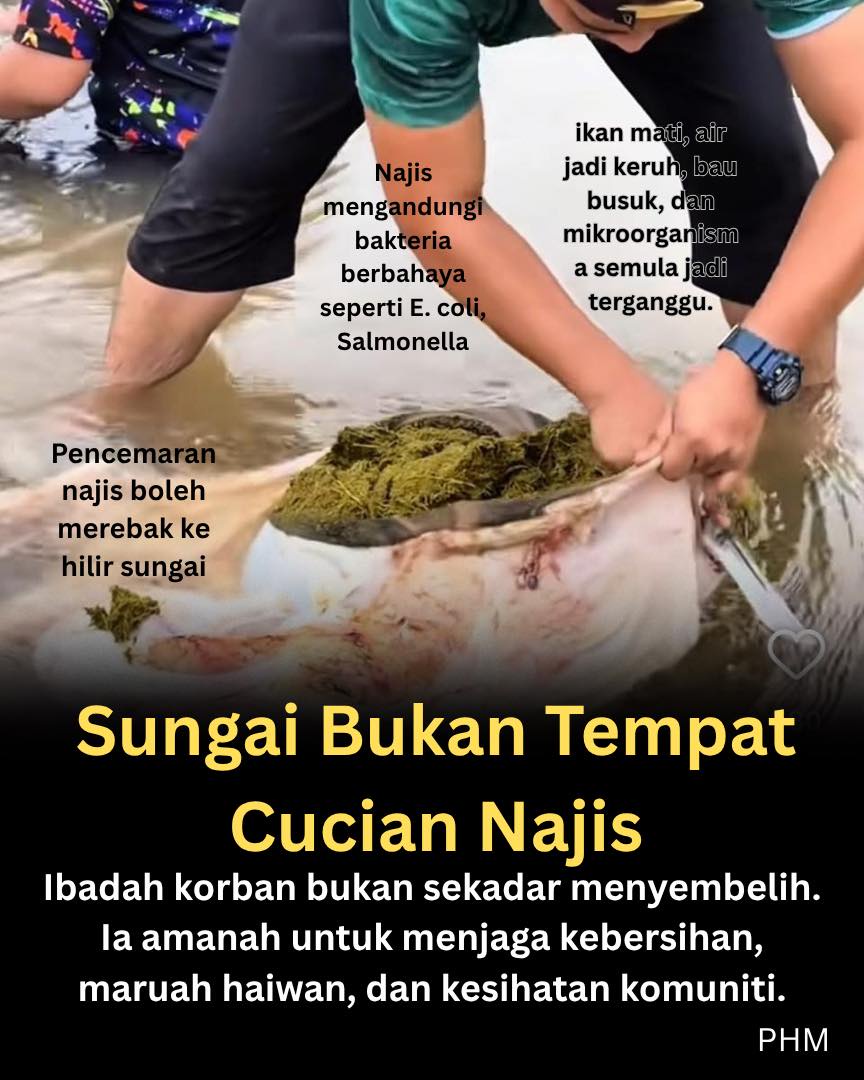 “Sungai Bukan Tong Sampah” -PHM Tegur Tindakan Cuci Perut Lembu Hingga ...