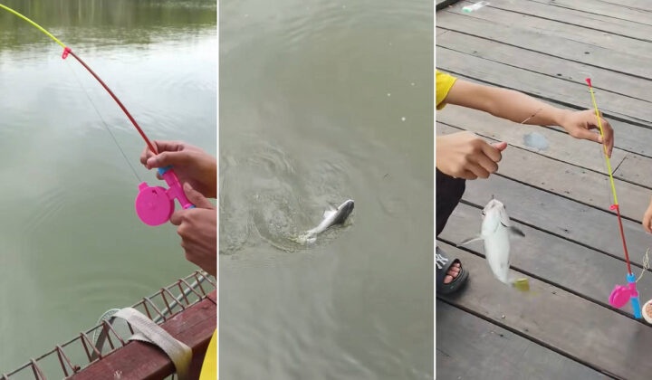 Tak Kumpau, Lelaki Pancing Guna Rod Mainan Layang-layang Buat Ramai Terhibur [Video]