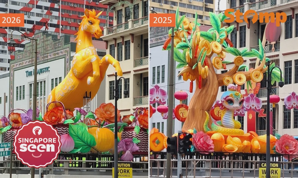 'Vibrant' horse much better than last year's worm-like snake: Stomper ...