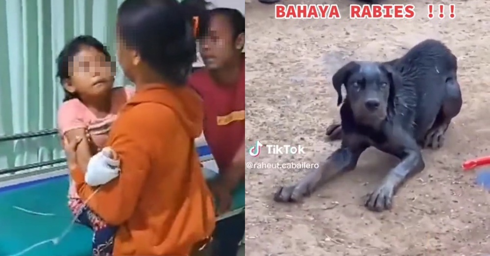 (VIDEO) Padah Digigit Anjing Liar, Kanak-Kanak Diserang Jangkitan ...