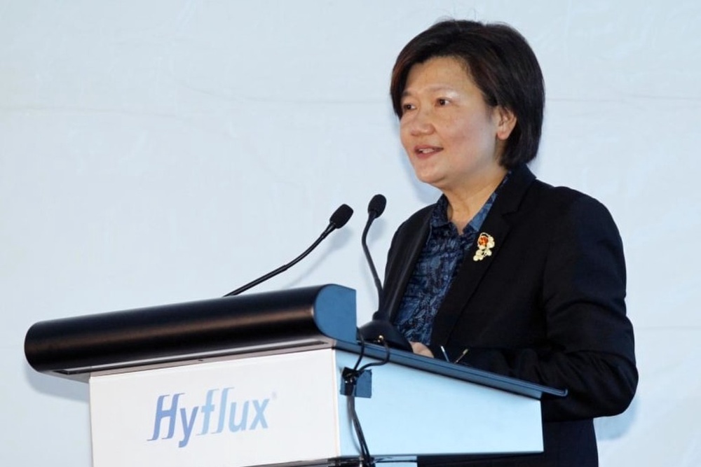 Who is Singapore’s Olivia Lum? From corporate darling to criminal suspect