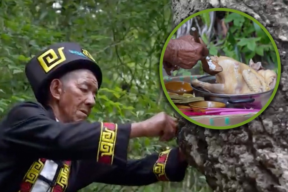 China Gelao ethnic group performs ‘tree-feeding’ ritual to pray for ...