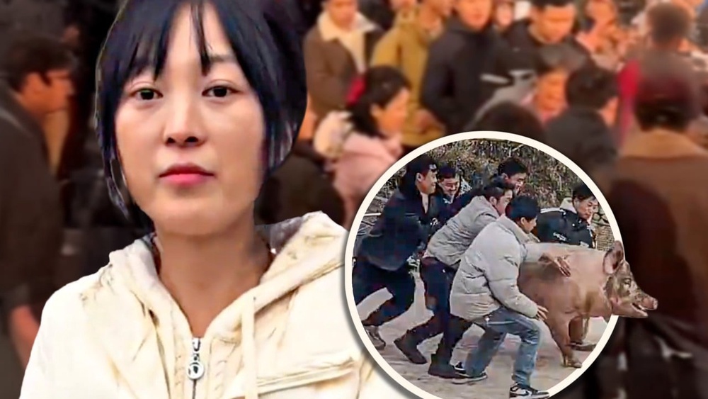 Chinese woman seeks online help to slaughter pigs, attracting over ...