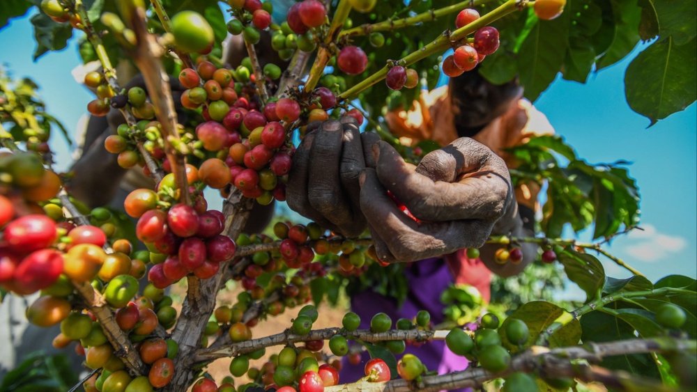 Why ‘monumental’ China duty-free trade deal has Kenya wanting more