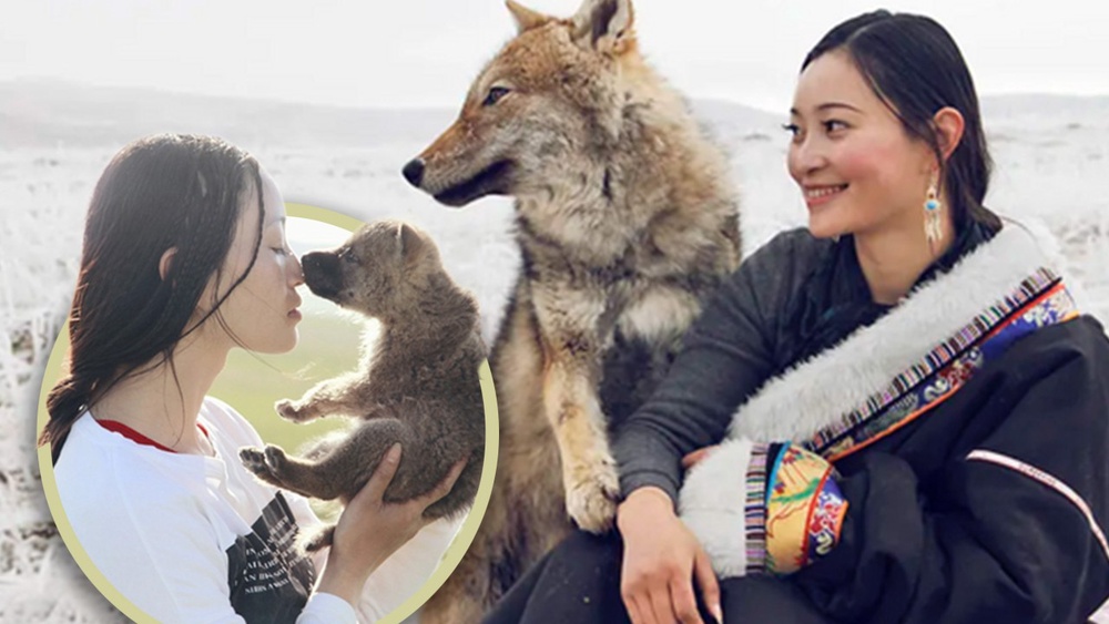Story of China woman and adopted wolf son gains renewed fame, garners 2 ...
