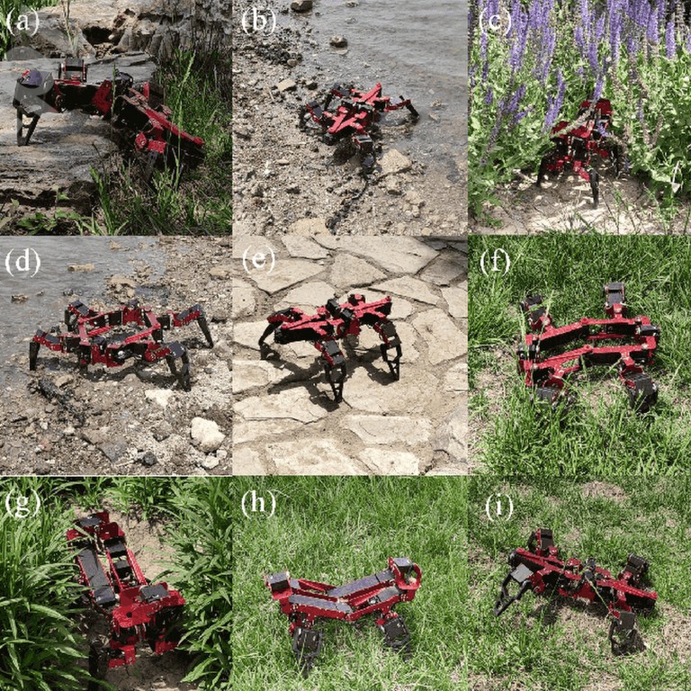 China’s award-winning ‘Transformer’ robot is much more than meets the eye