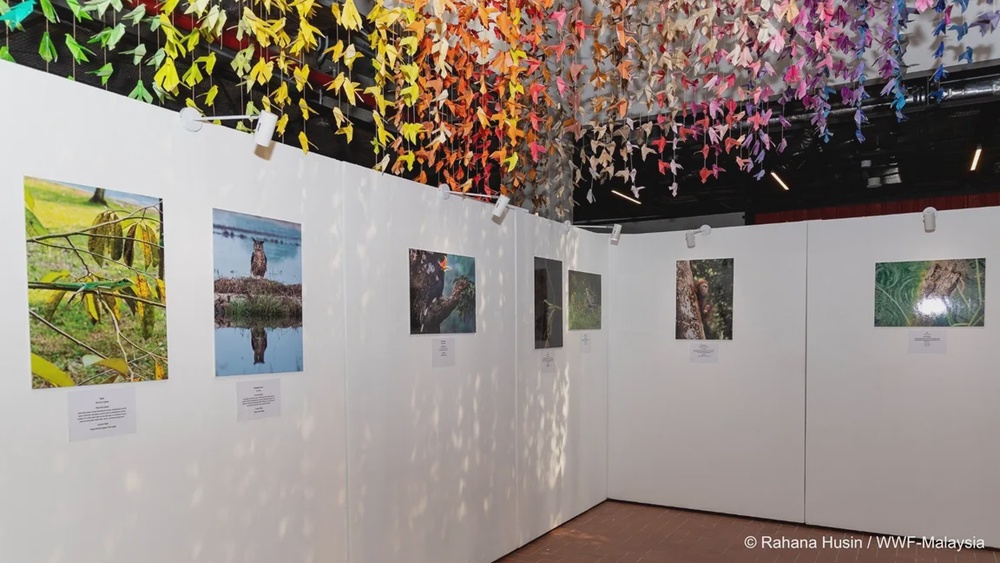 Eyes on the Wild, Gerakan Fotografi Menghidupkan Semula Cinta Alam Malaysia