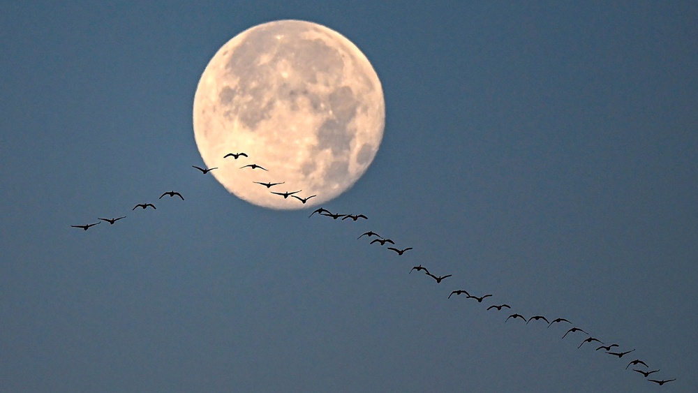 Cold Moon 2023: The final full moon of the year rises this Christmas