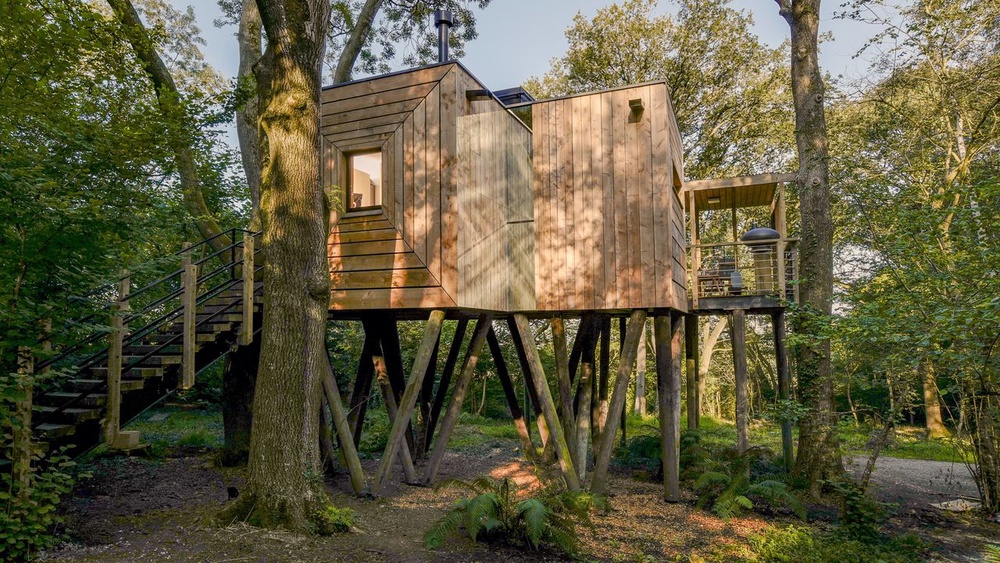 Find solace in the forest at this expansive treehouse retreat in Dorset