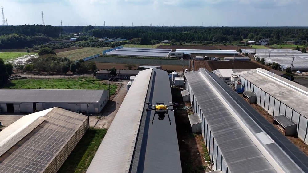 Japanese tech giant deploys laser drones to protect chickens — drones ...