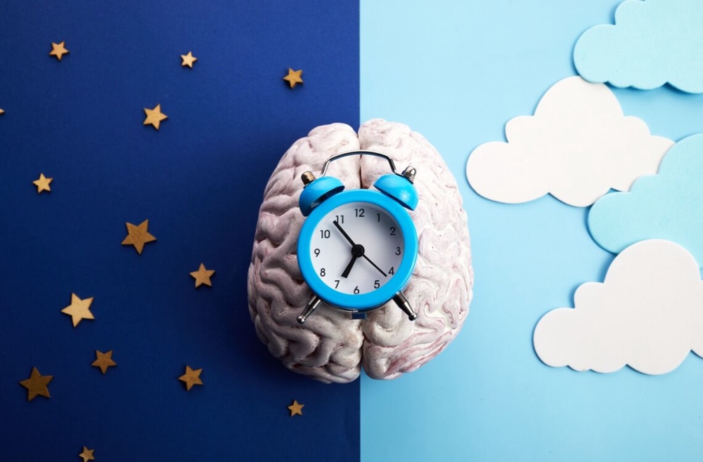 Circadian Rhythms in Pregnancy: Why Your Baby’s Sleep Patterns Start in ...