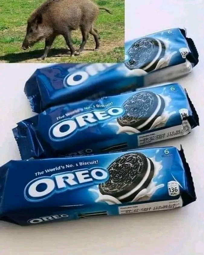 Oreo made from pork fat and milk?