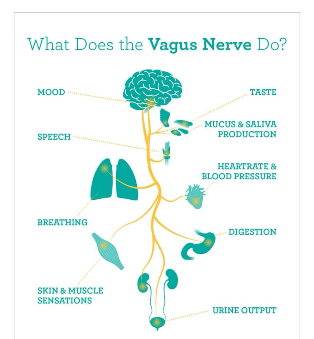 Handling stress : Part 4 - Stimulating the vagus nerve