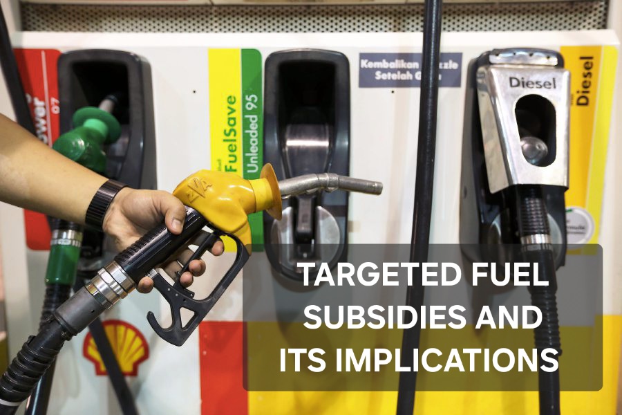 Ripple Effects of Petrol Targeted Subsidies on Consumers