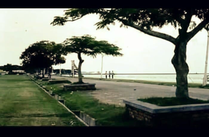 Padang Pahlawan: Of Kite Flying, Ghostly Angsana Seeds, and so much ...