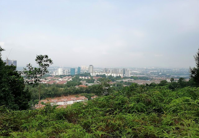 Urban Escape: Discover Puchong’s Hidden Jungle Trail at Wawasan Hill