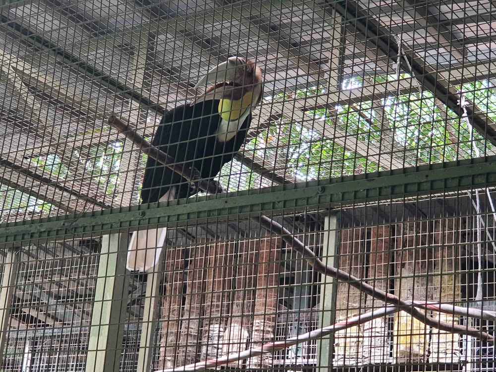 Opinion: Lok Kawi Wildlife Park Sabah, a pride of the state?