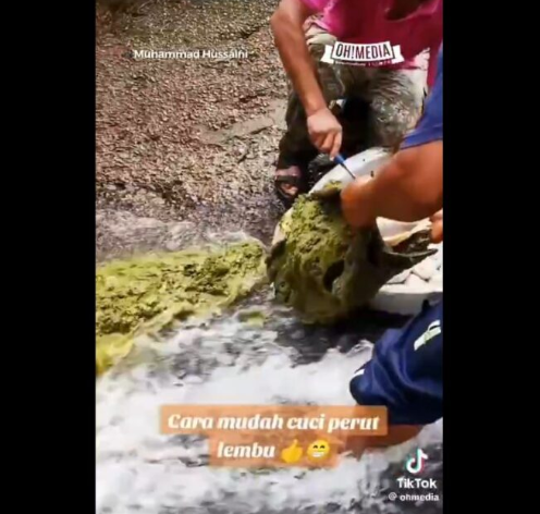 Cow Waste Disposed Into River: Aidiladha Ritual Sparks Outrage as Cow ...